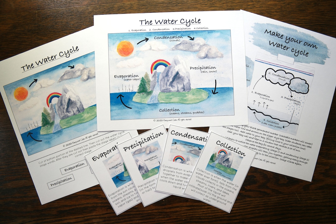 Water Cycle Poster, Cards, Activity and Assessment - Etsy