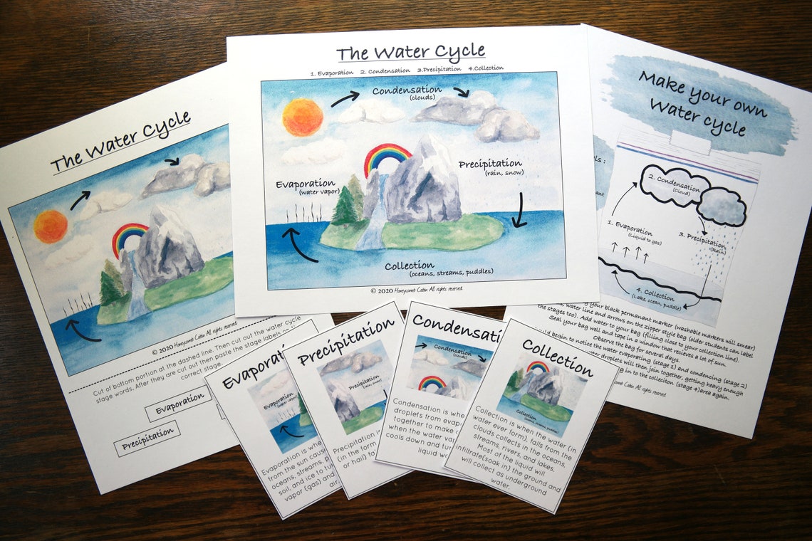 Water Cycle Poster Cards Activity and Assessment - Etsy