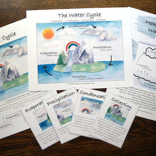 Water Cycle Diagram and Activity - Etsy