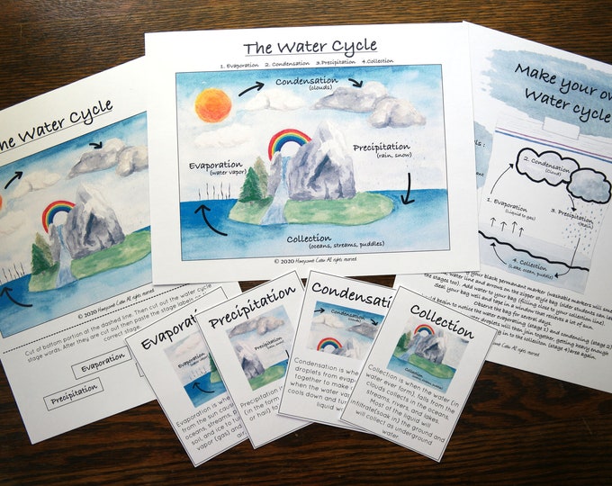 Water Cycle Poster, Cards, Activity and Assessment - Etsy