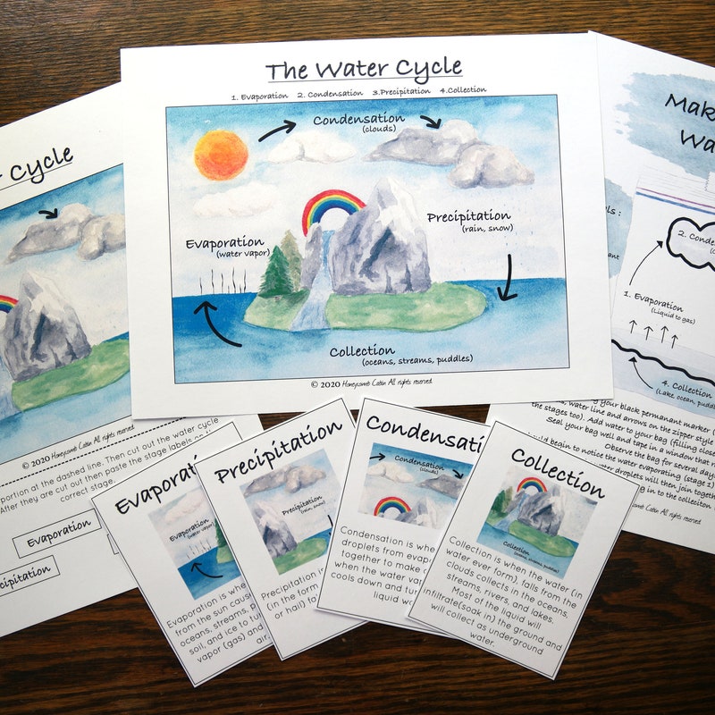 Water Cycle Project - Etsy