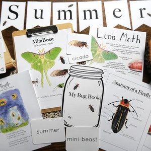 Summer Night Minibeast Bundle | Charlotte Mason Nature Homeschool ...