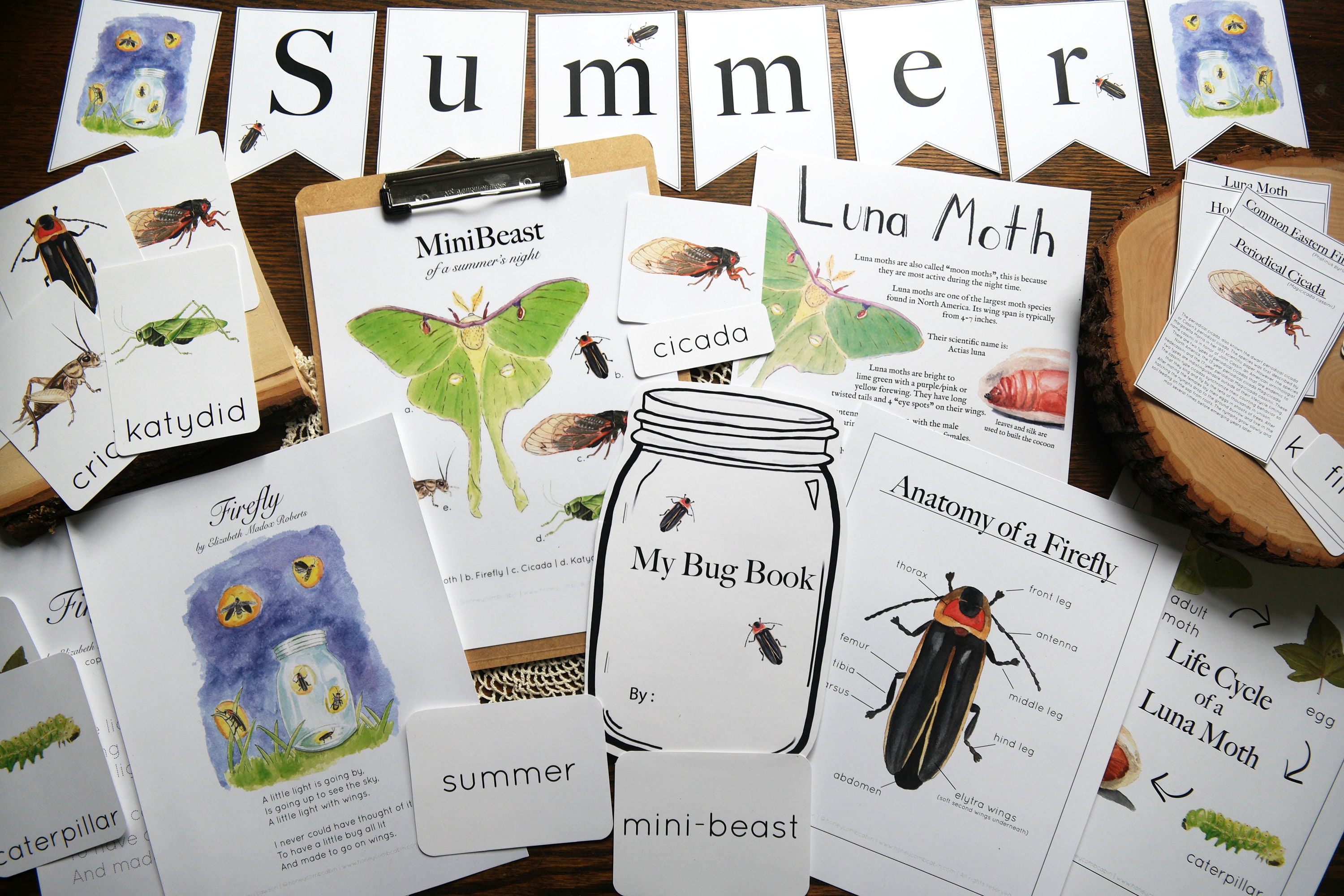 Summer Night Minibeast Bundle Charlotte Mason Nature - Etsy