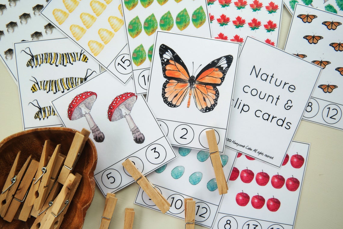 Nature Count and Clip Cards Homeschool Charlotte Mason | Etsy