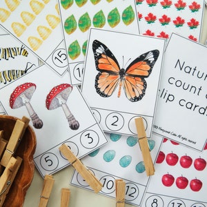 Nature Count and Clip Cards | Homeschool, Charlotte Mason, Printable ...