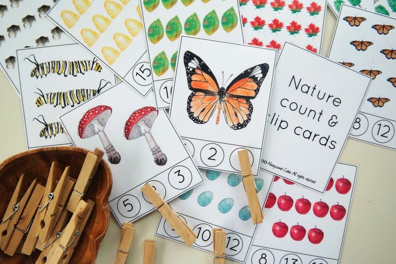Nature Count and Clip Cards | Homeschool, Charlotte Mason, Printable ...