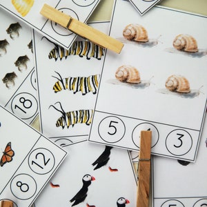 Nature Count and Clip Cards | Homeschool, Charlotte Mason, Printable ...