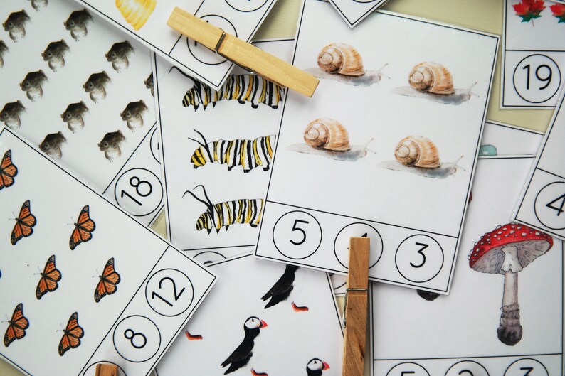 Nature Count and Clip Cards Homeschool Charlotte Mason | Etsy