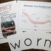 Anatomy of a Worm and Wormery Activity With Record | Charlotte Mason ...