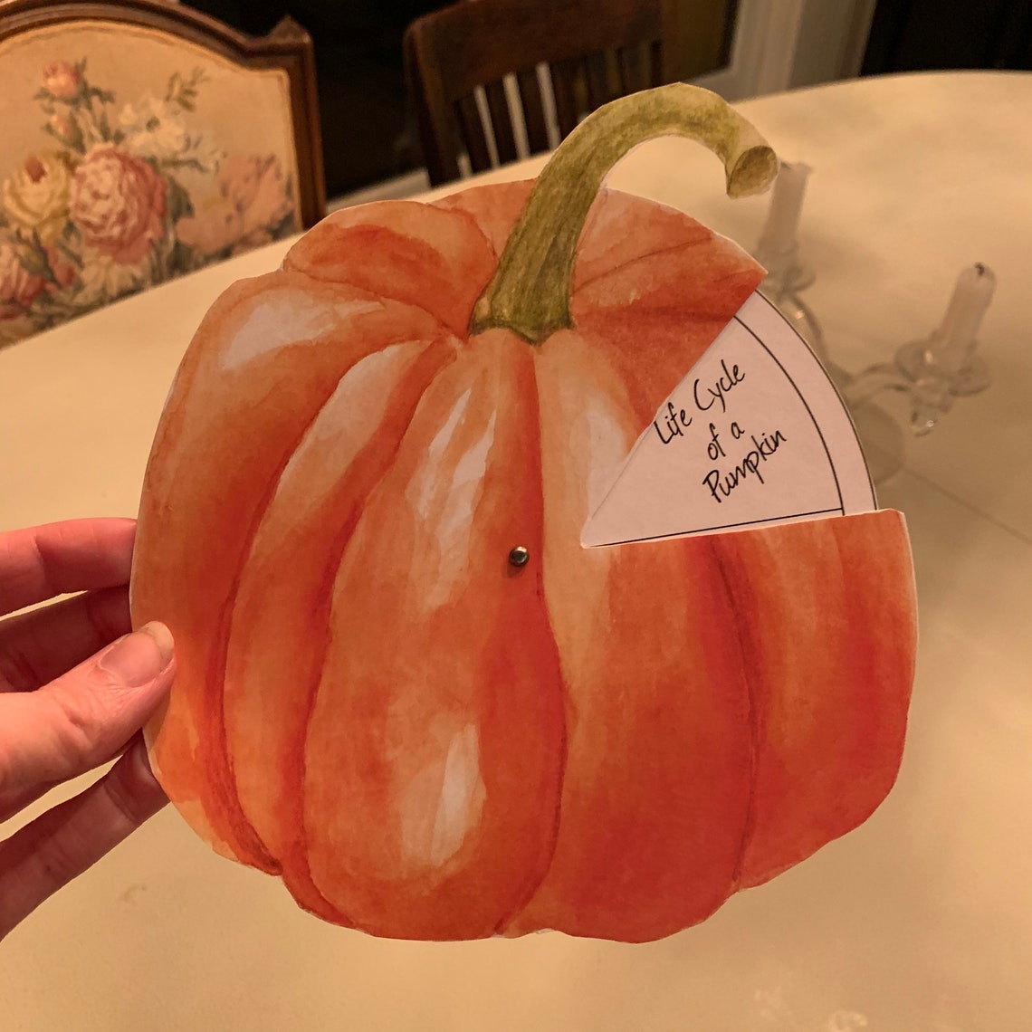 Pumpkin Life Cycle Wheel - Etsy