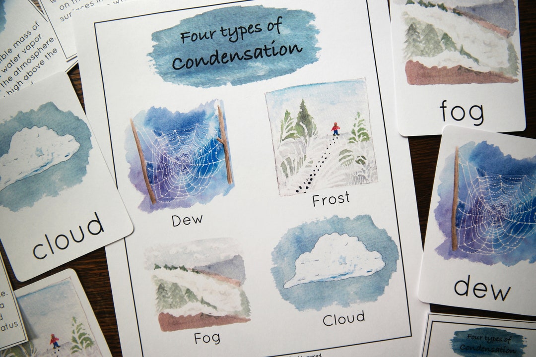 Weather - Condensation Types Cards and Mini Poster - Etsy