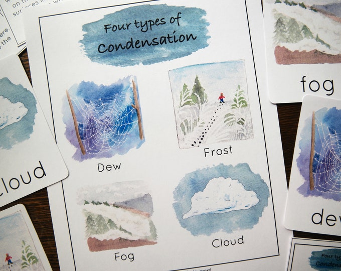 Weather Chart and Weather Cards | Homeschool Daily Rhythm Nature ...