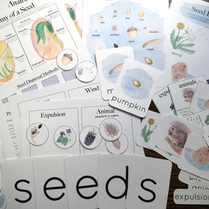 Seed Bundle | Nature Study, Charlotte Mason, Homeschool, Printable ...