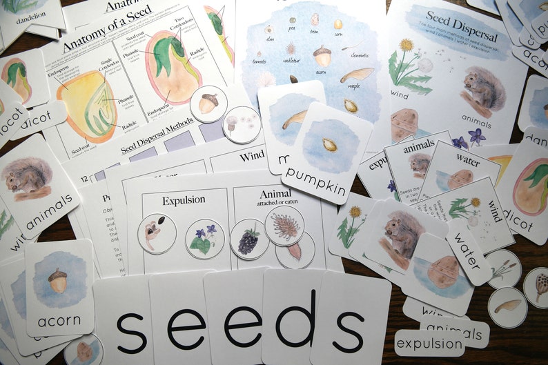 Seed Bundle | Nature Study, Charlotte Mason, Homeschool, Printable ...