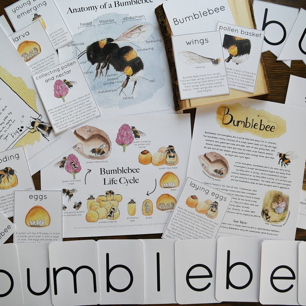 Bumblebee Printable - Etsy