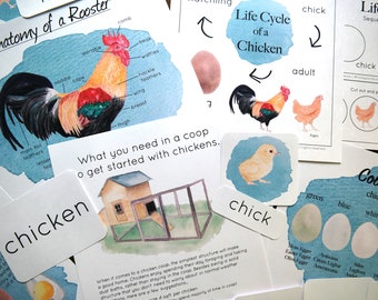 Chicken Study Printable Homeschool Worksheets Nature Study Charlotte ...