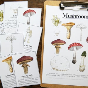 Mega Sale Bundle of Bundles - Fall | Charlotte Mason, Homeschool ...