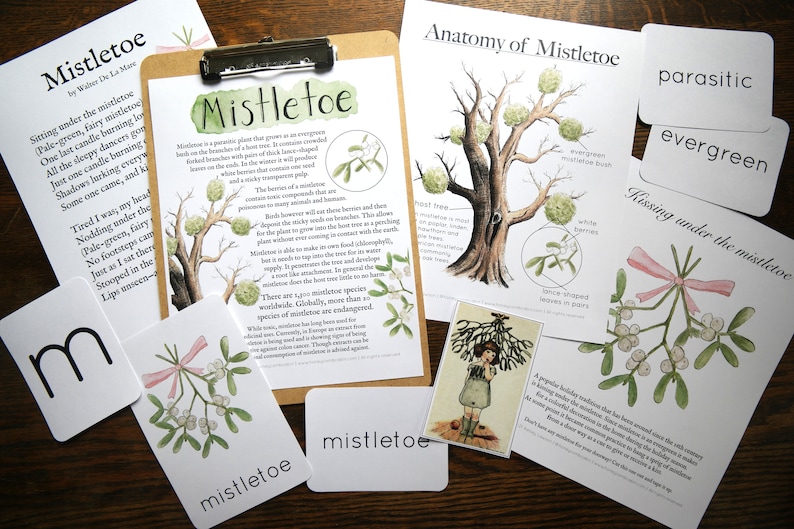 Mistletoe Investigation Set | Homeschool Educational Charlotte Mason ...