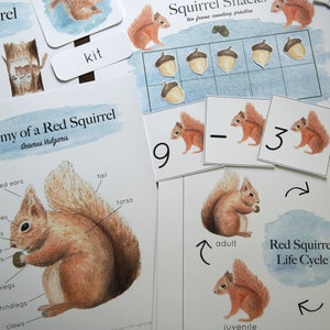 Squirrel Learning Bundle | Charlotte Mason Homeschool Autumn Nature Study Red Squirrel - Etsy