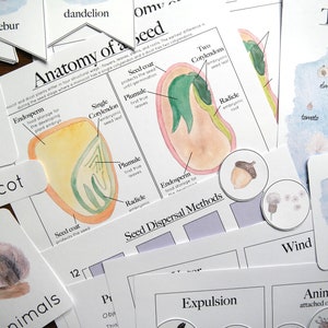 Seed Bundle | Nature Study, Charlotte Mason, Homeschool, Printable ...