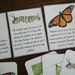 Printed Monarch Butterfly Life Cycle Cards - Informational and 3-part ...