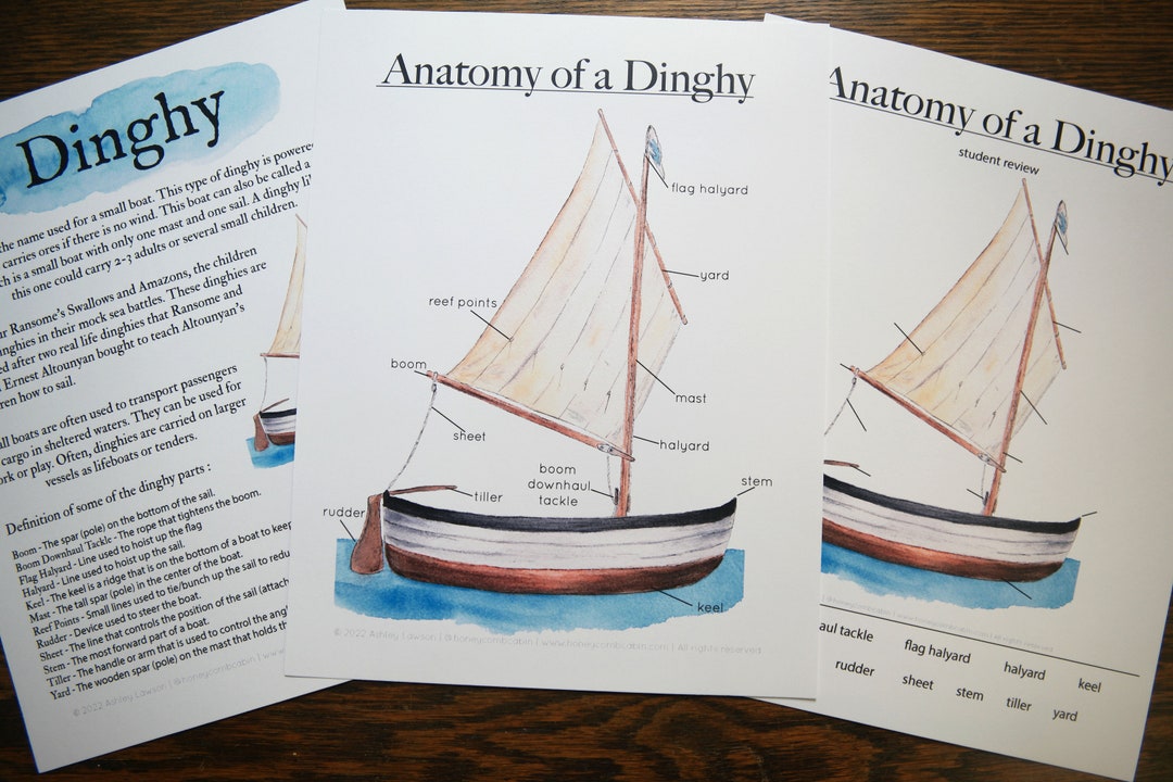 Dinghy Mini Investigation Set | Charlotte Mason Classic Literature ...