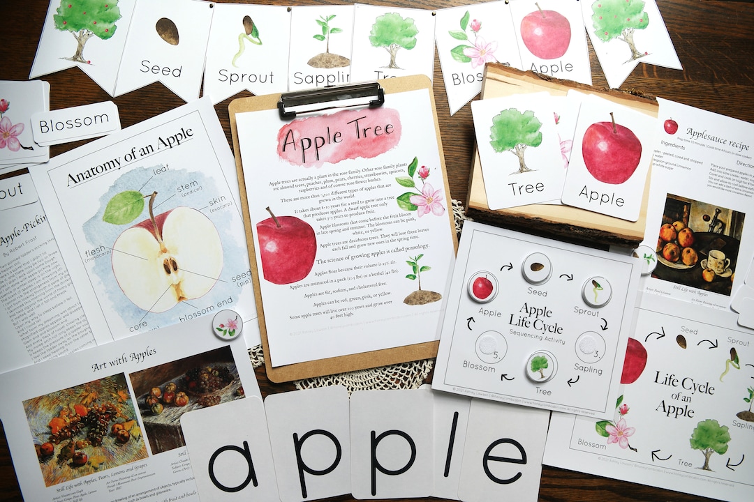 Apple Bundle - Fall (hard Copy) - Etsy