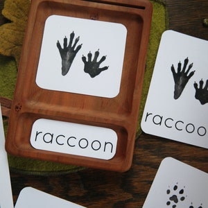 Woodland Animal Tracks Mini-poster and 3-part Cards | Montessori ...