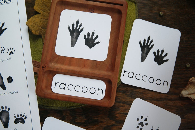 Woodland Animal Tracks Mini-poster and 3-part Cards | Montessori ...