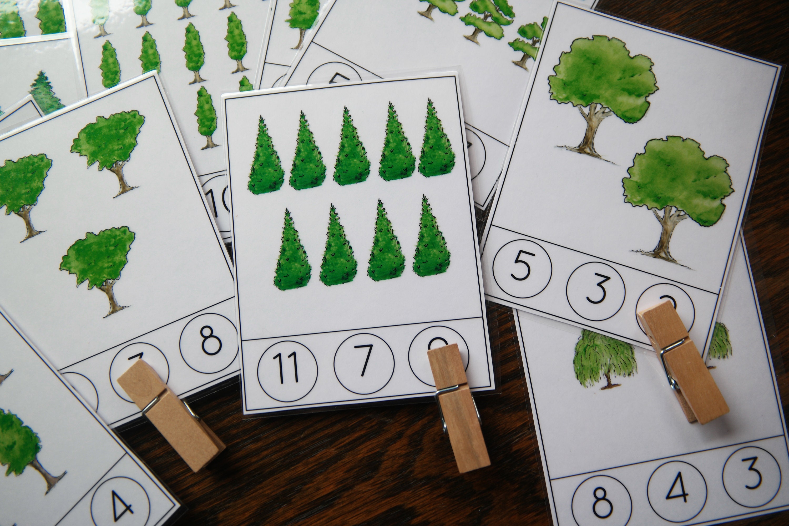 Arbor Math Counting Clip Cards and Manipulatives Nature | Etsy