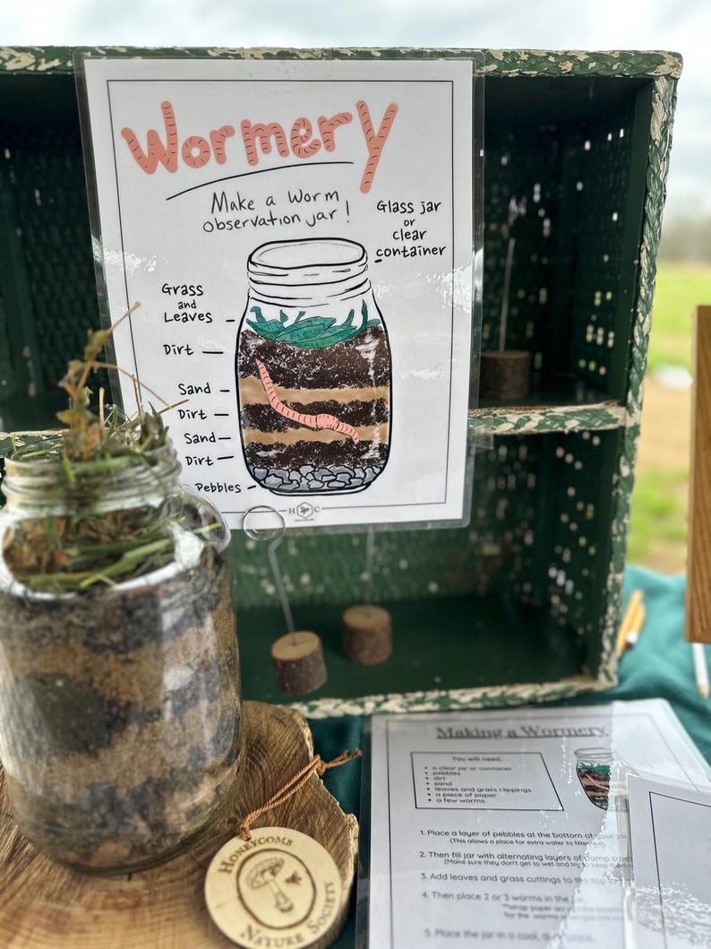 Anatomy of a Worm and Wormery Activity With Record | Charlotte Mason ...