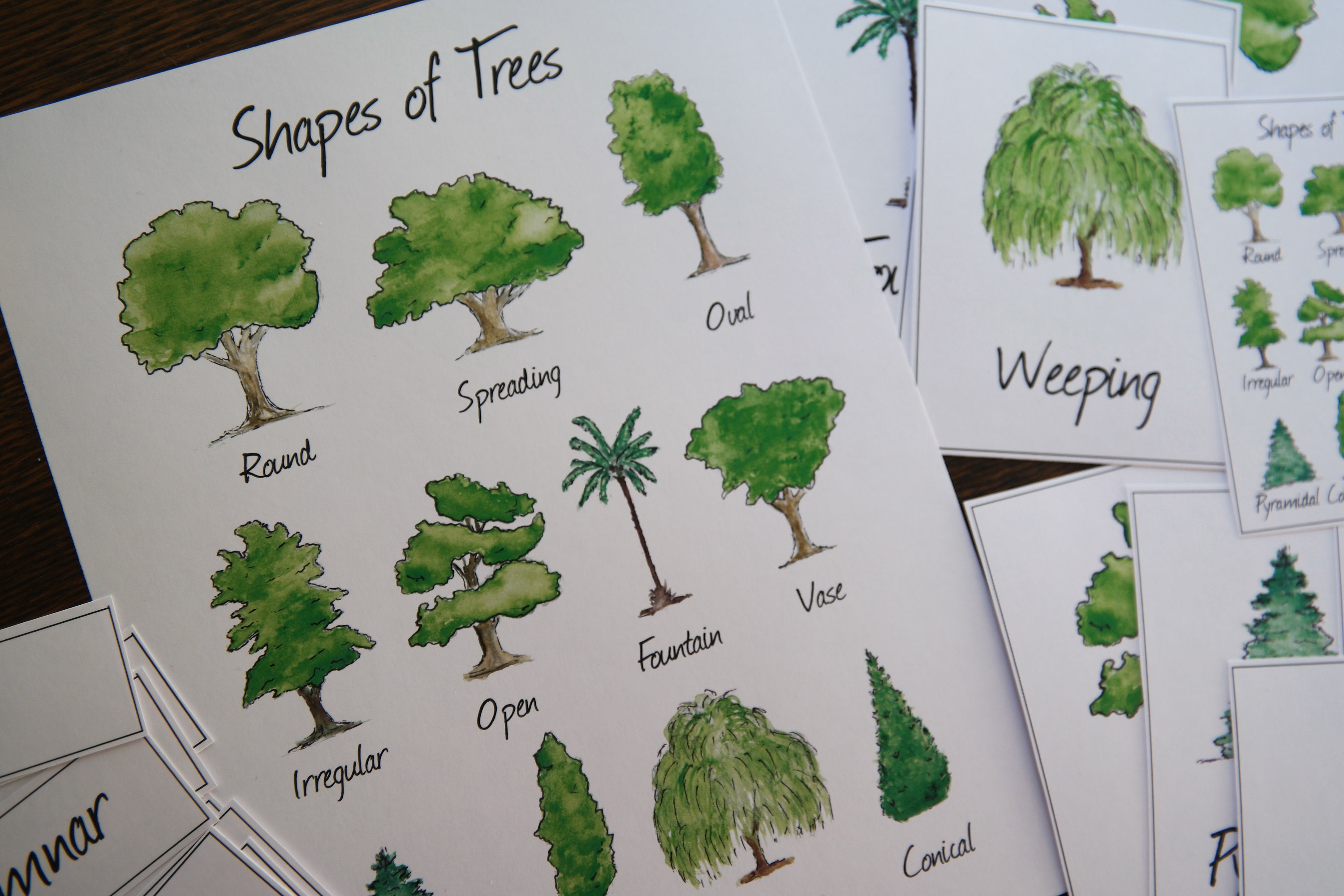 Tree studies bundle Hard copy | Etsy