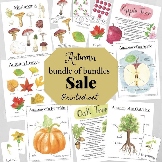 HARD COPY Mega Sale Bundle of Bundles Fall Charlotte | Etsy