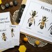 Honey Bee Bundle Hard Copy Printed Homeschool Charlotte - Etsy