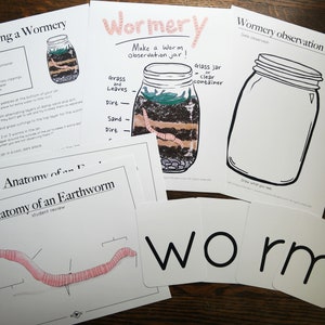 Anatomy of a Worm and Wormery Activity With Record | Charlotte Mason ...