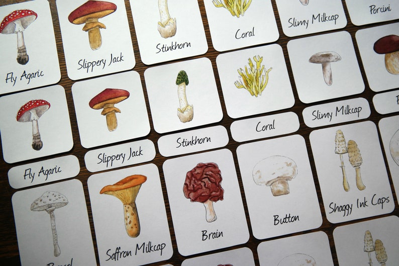 Mushroom 3 Part Cards - 12 Types - Etsy