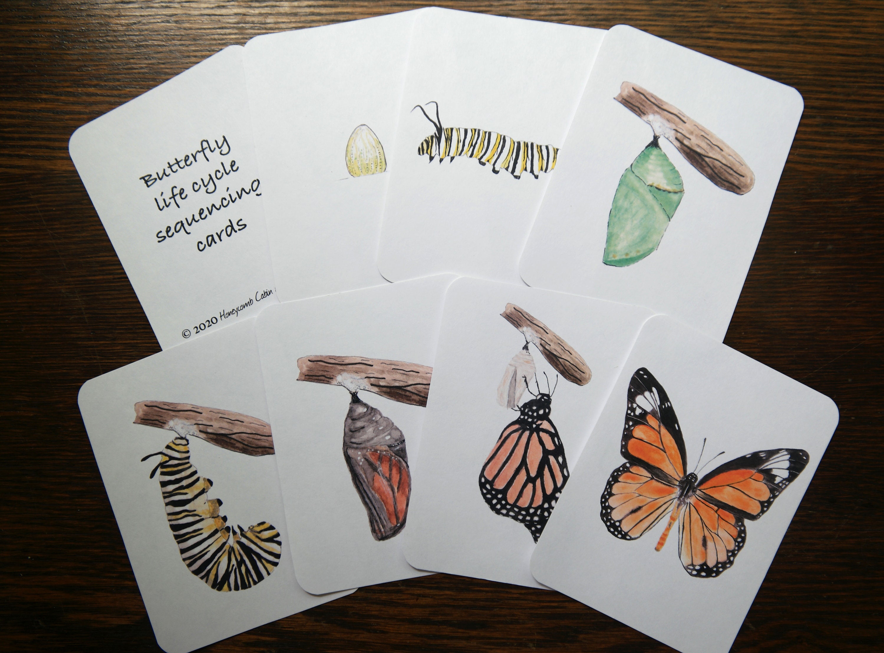Toys Butterfly Unit Study Bundle Charlotte Mason Nature Study ...