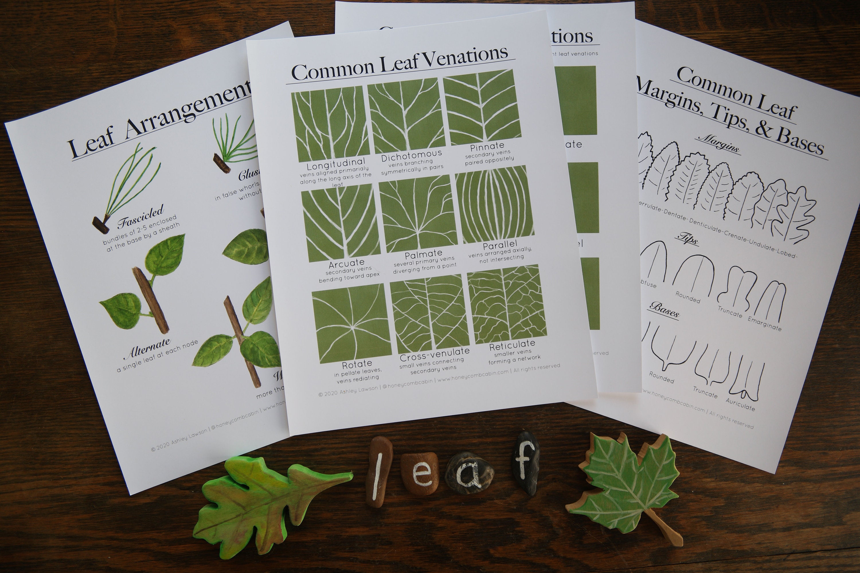 Leaf Bundle HARD COPY Charlotte Mason Leaves Homeschool - Etsy