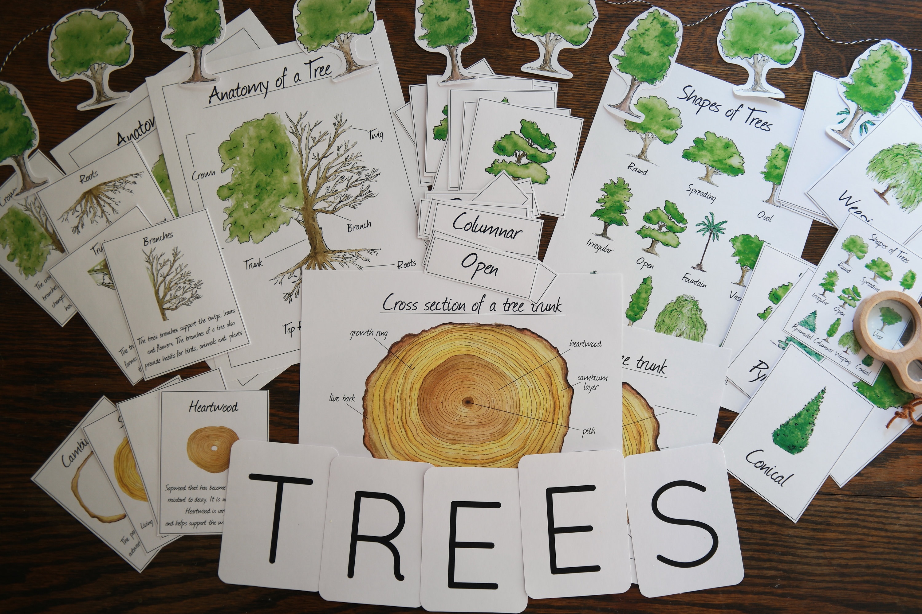 Tree studies bundle Hard copy | Etsy