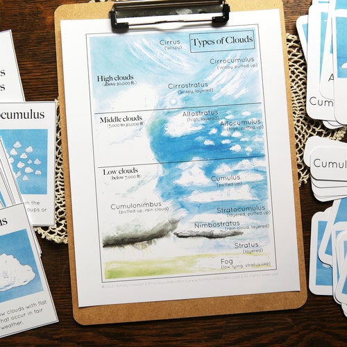 Tree Studies Bundle Nature Study Charlotte Mason - Etsy