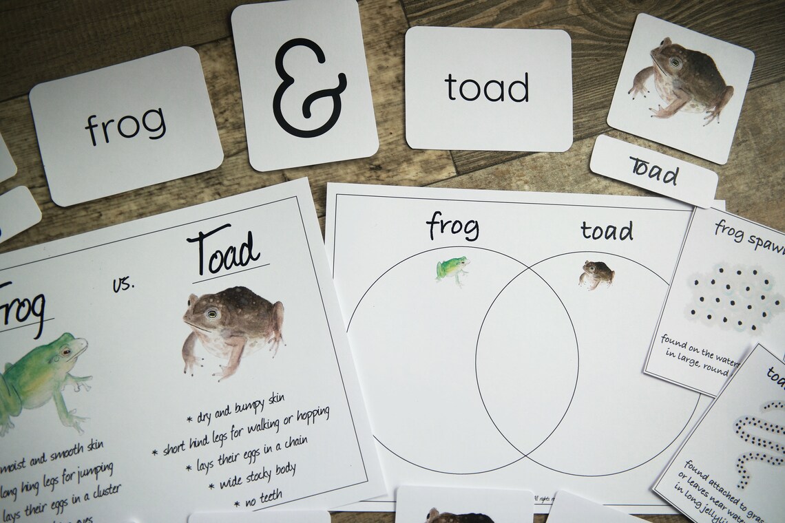 Frog vs Toad learning set Nature study Charlotte Mason | Etsy