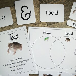 Frog vs Toad learning set Nature study Charlotte Mason | Etsy