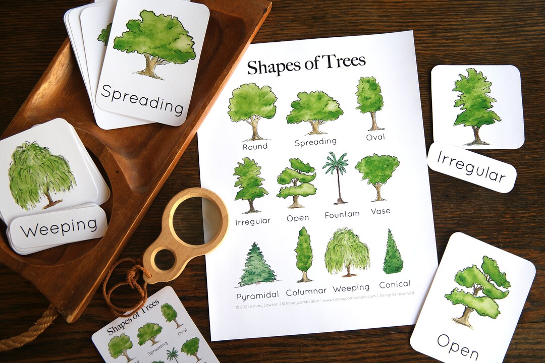Tree Shapes Set | Charlotte Mason Nature Journal Educational Printable ...