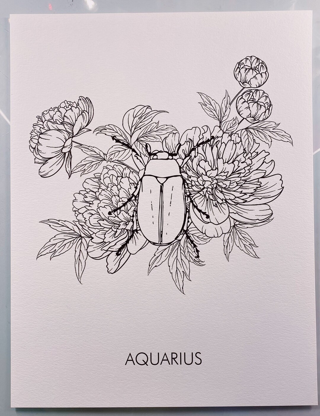 Aquarius June Bug Coloring Page 8.5x11 PAGE ONLY - Etsy