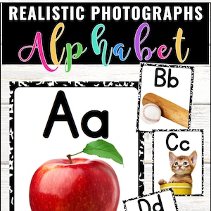 Realistic Photographs Alphabet Posters Bulletin Board Composition ...