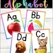 Alphabet Posters Realistic Photographs Classroom Decor Kindergarten Pre ...