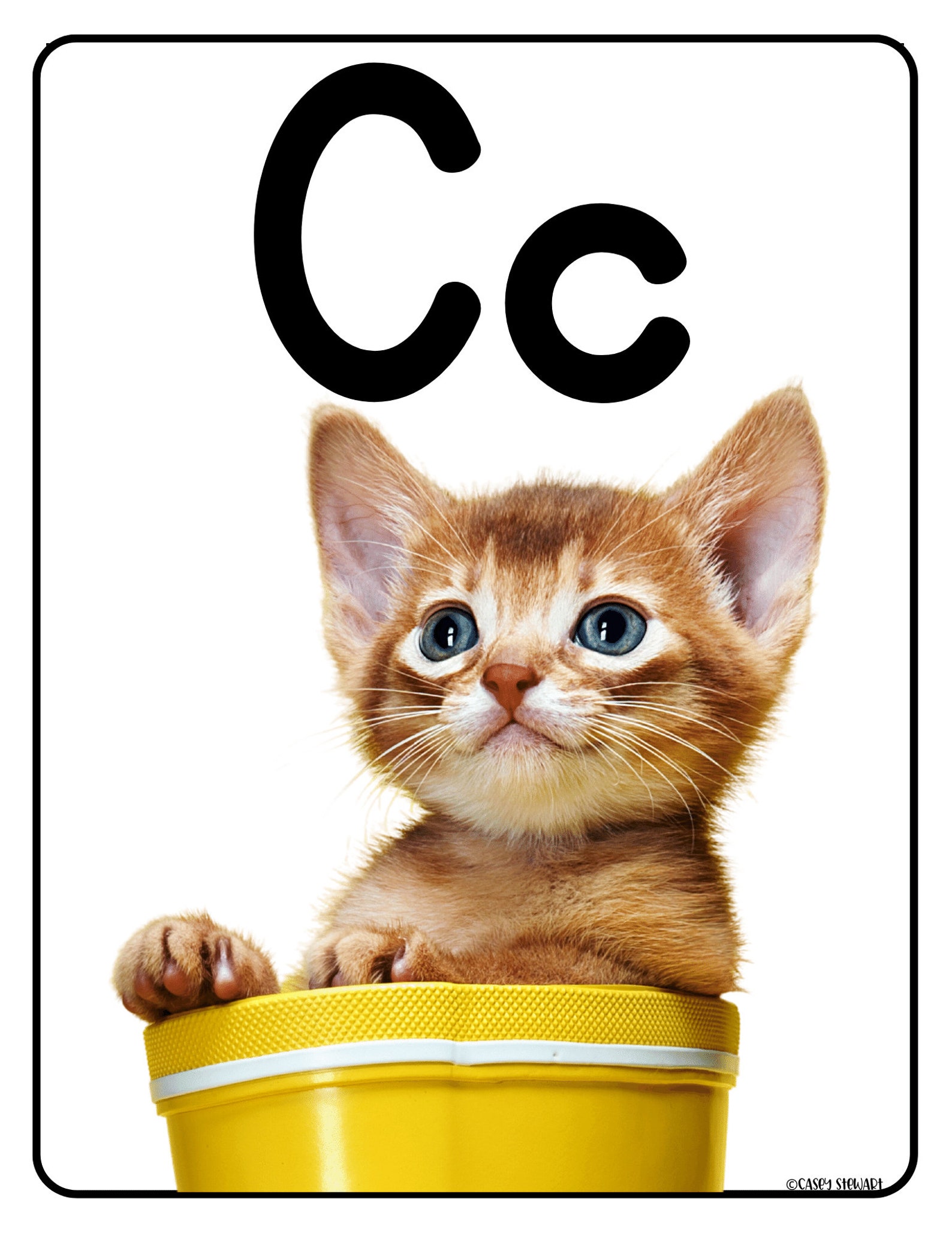 Alphabet Posters - Realistic Photographs Classroom Decor Kindergarten ...