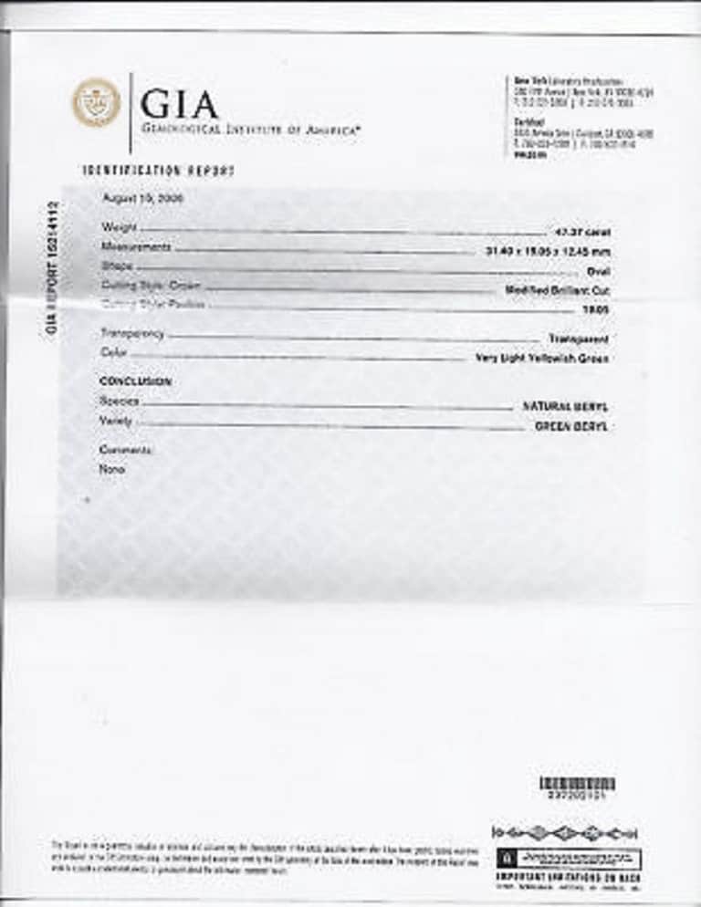 GIA 57.37CT Natural Green Beryl Fish Brooch Pendant - Etsy