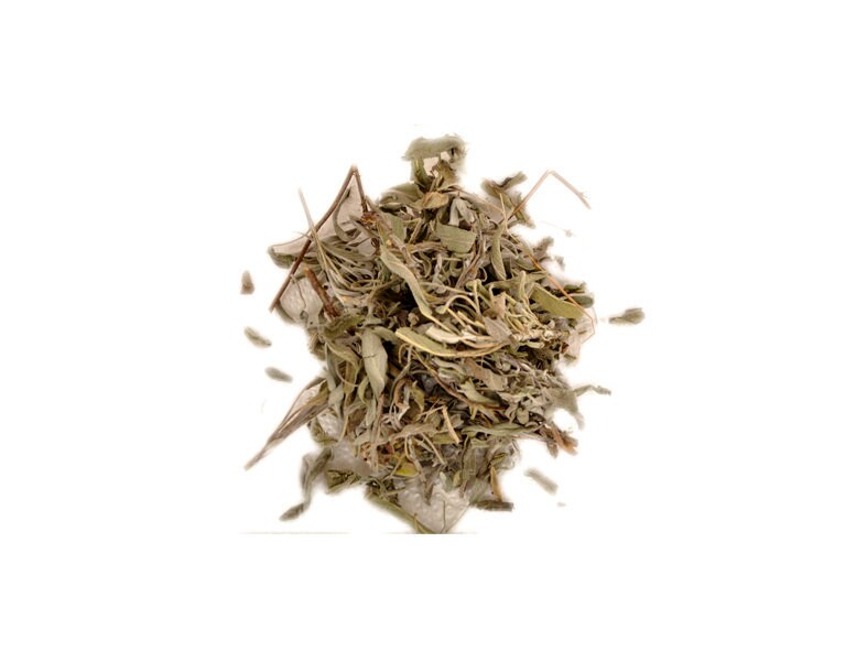 Sage Tea Organic, Salvia Officinalis, Common Sage , Wild Albanian Sage ...