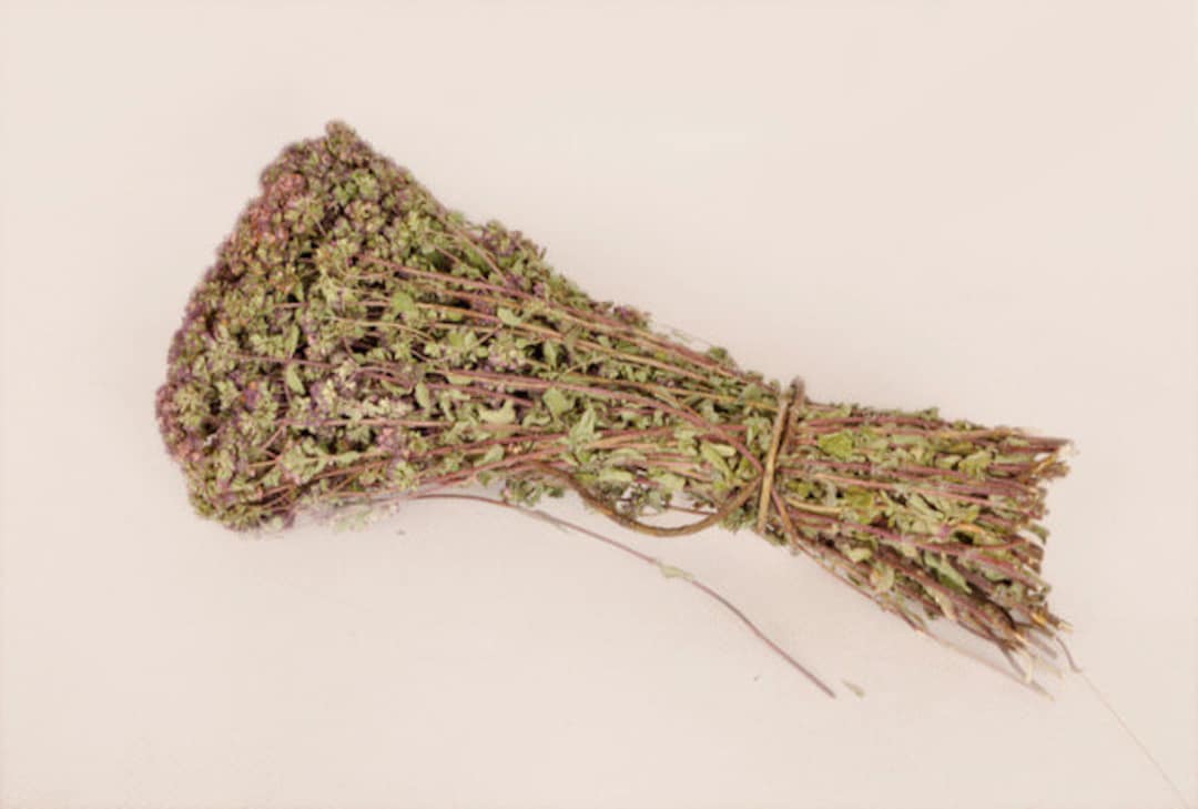 North Albanian Tea, Organic Tea, Herbal Tea, Caffeine Free and ...